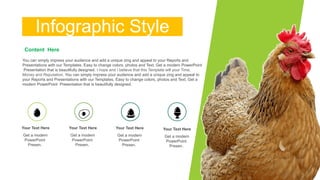 Power Point Template About Poultry Theme | PPTX