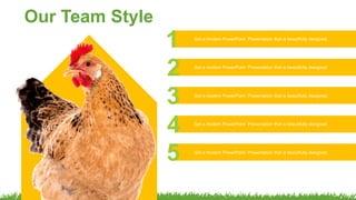 Power Point Template About Poultry Theme | PPTX