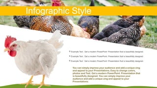 Power Point Template About Poultry Theme | PPTX