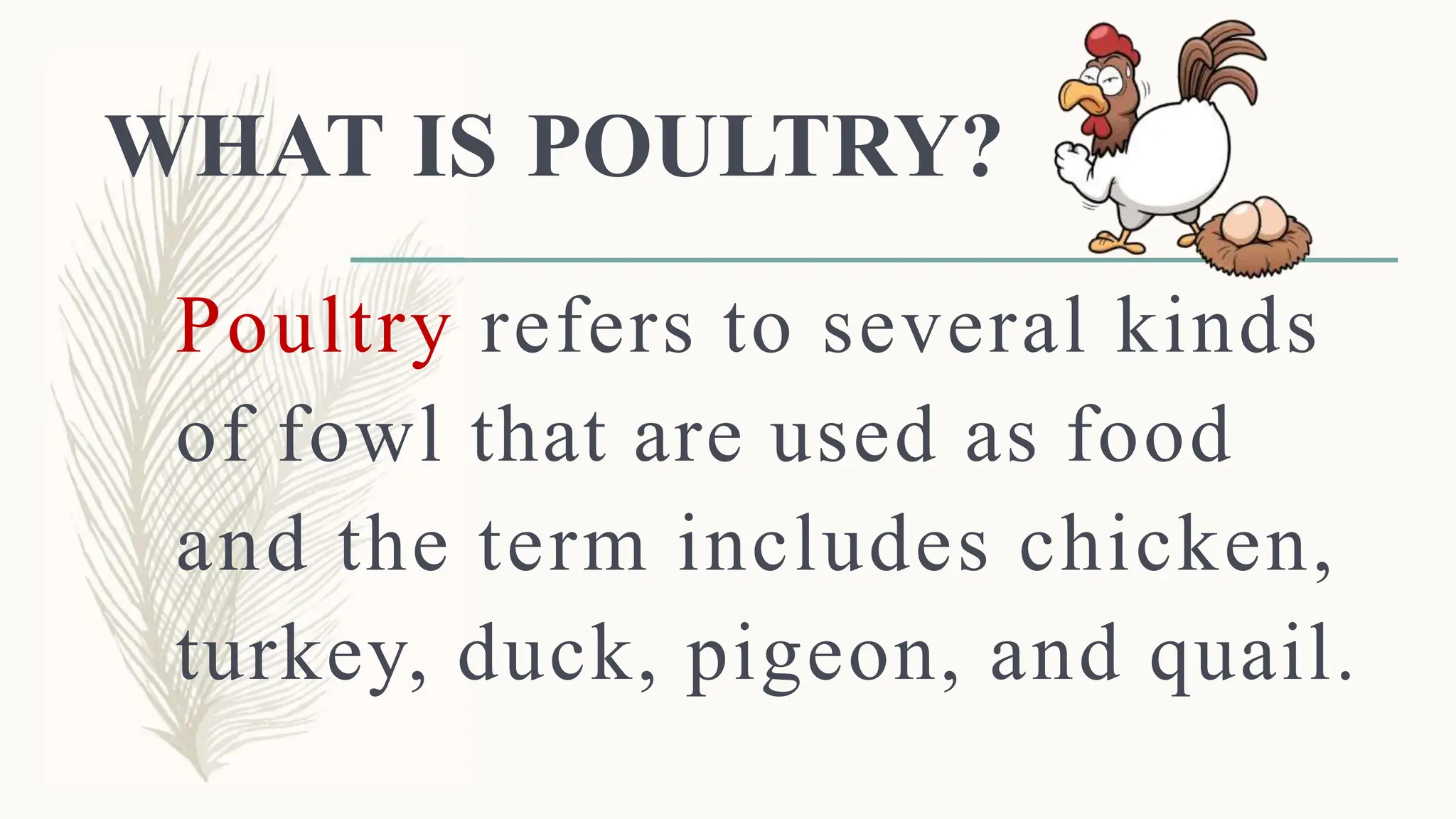 TLE Cookery 10 - Poultry and Game, variety | PPTX