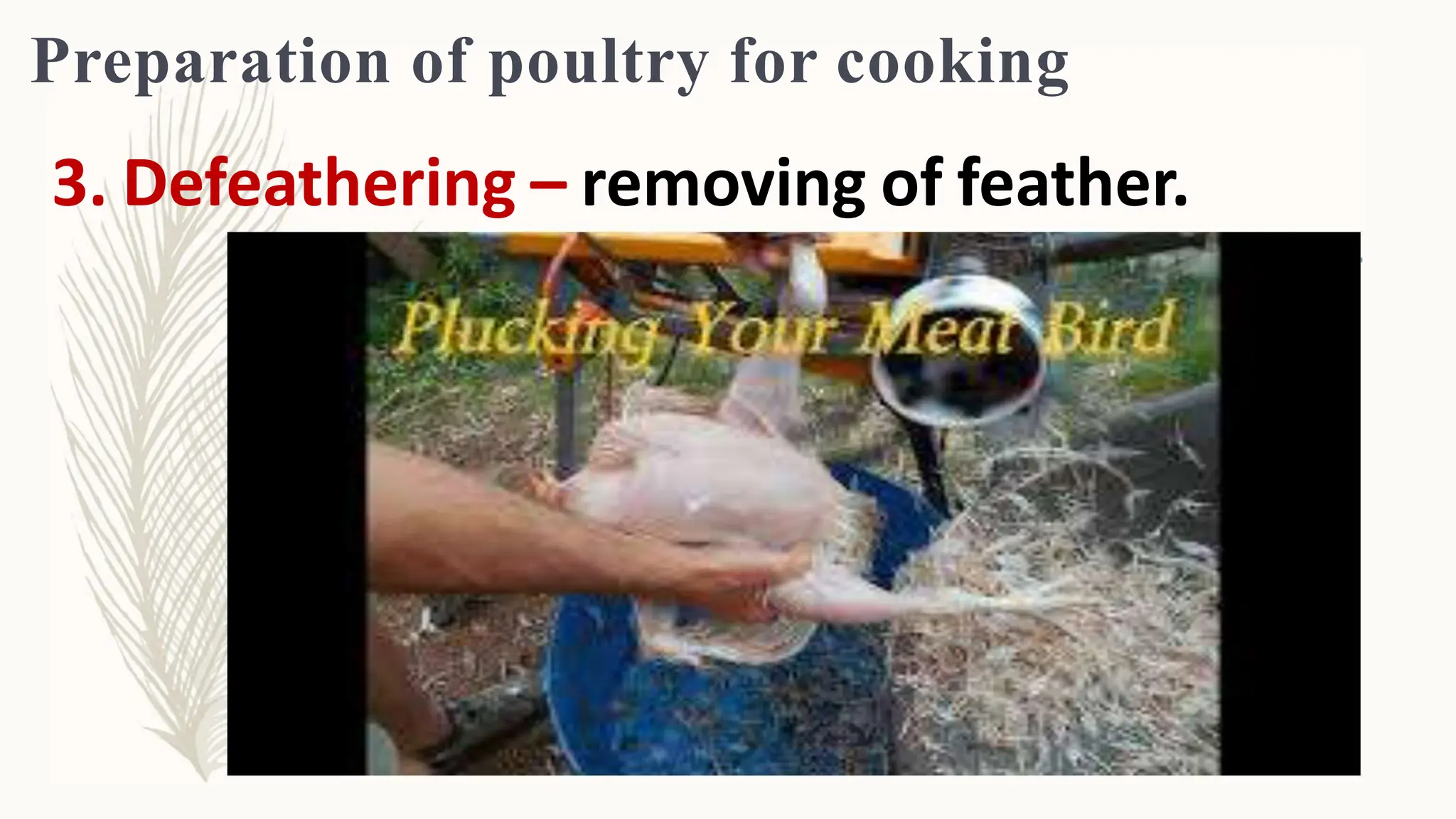 TLE Cookery 10 - Poultry and Game, variety | PPTX