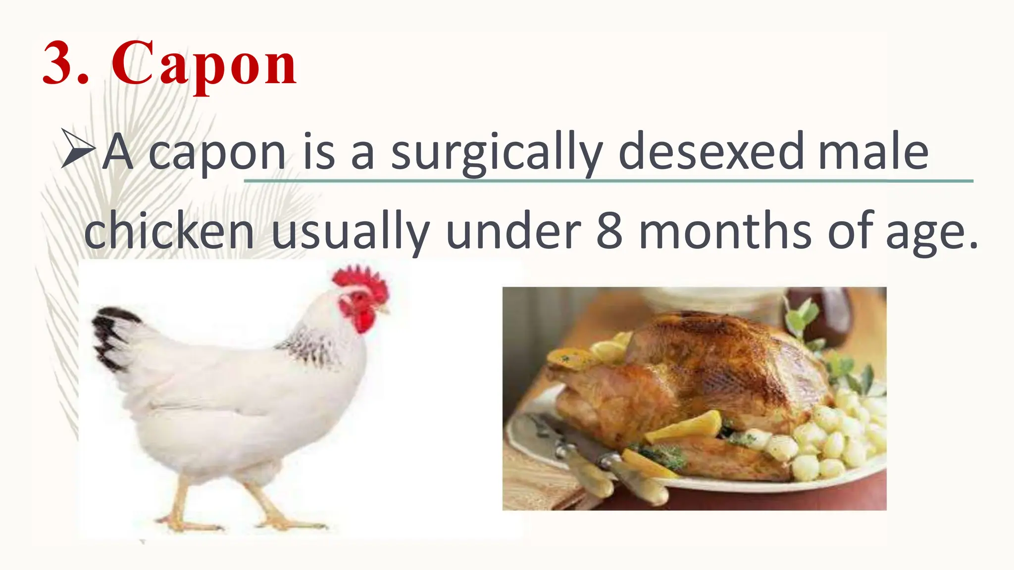 TLE Cookery 10 - Poultry and Game, variety | PPT