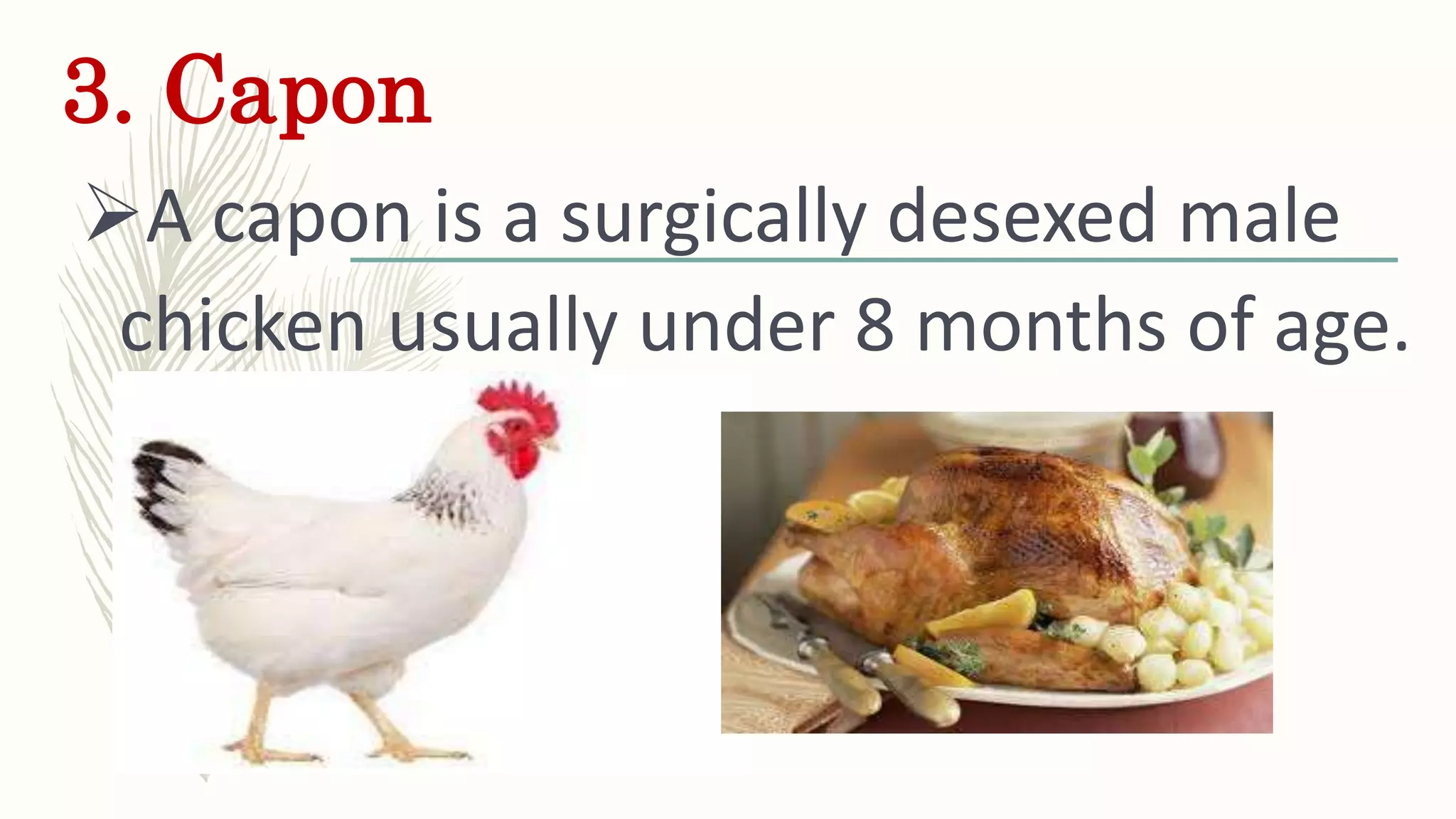 Poultry and game ppt | PPTX