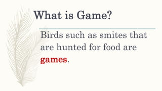 Poultry and game ppt | PPTX