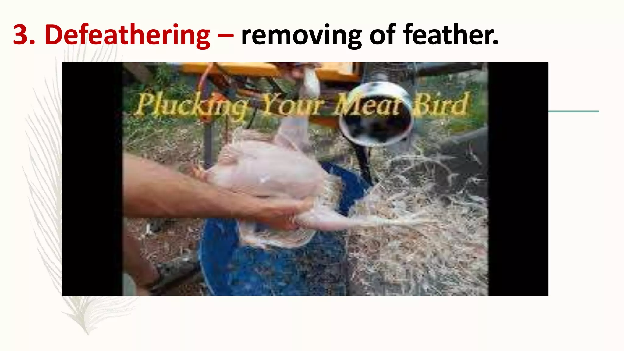 poultryandgameppt.pptx