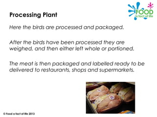 Poultry basics | PPT | Birdwatching | Hobbies & Interests