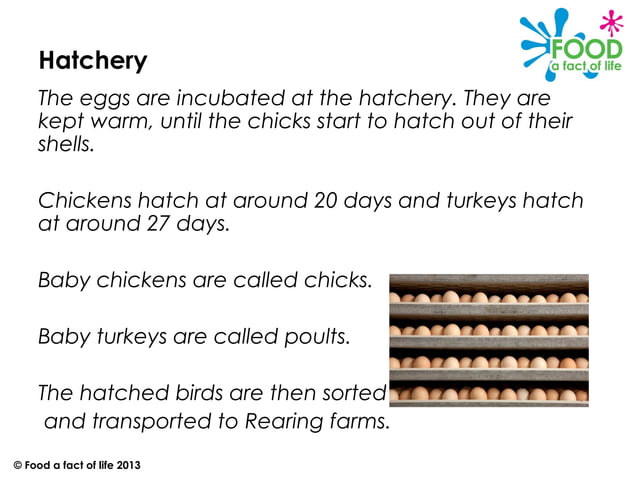 Poultry basics | PPT