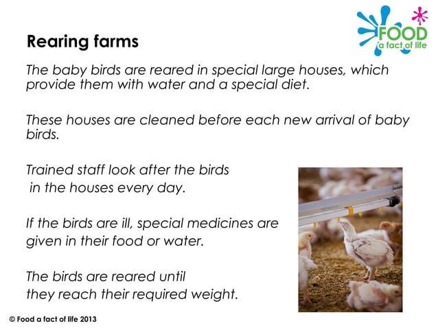 Poultry basics | PPT
