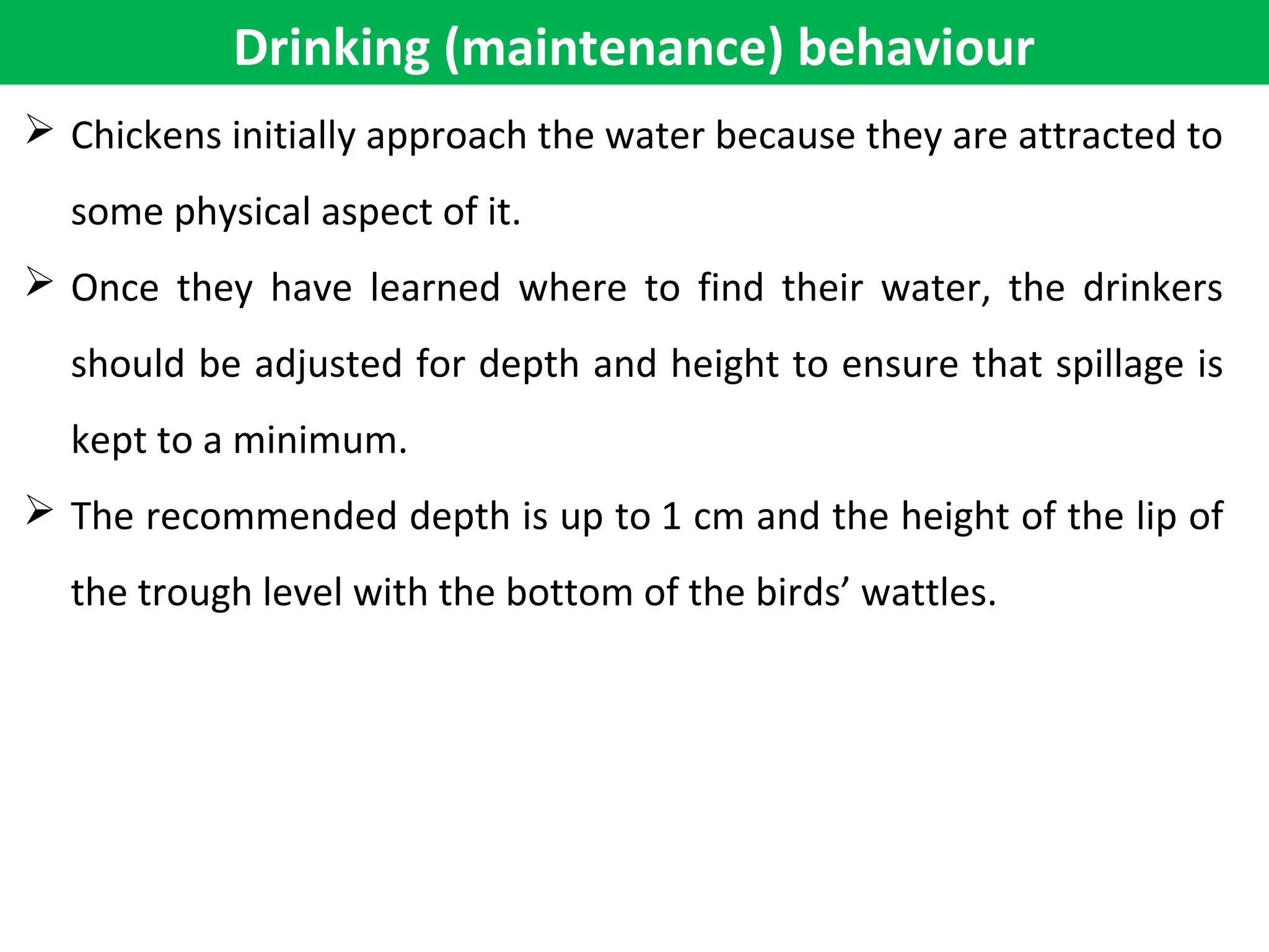 Behaviour Patterns in Poultry | PPT