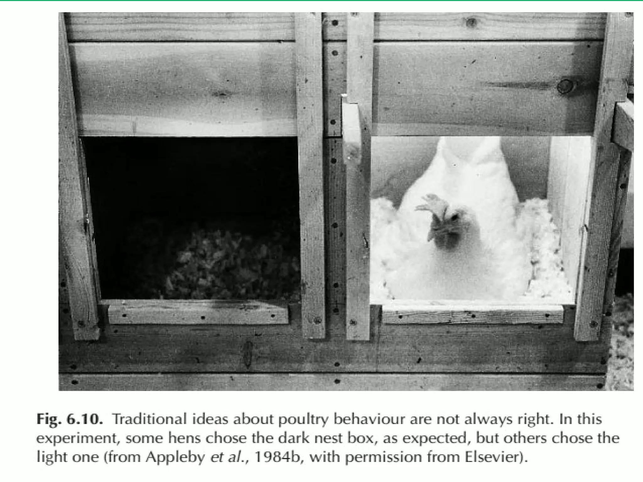 Behaviour Patterns in Poultry | PPT