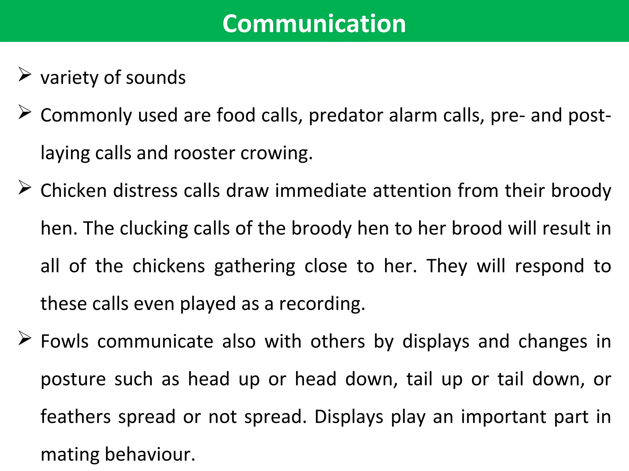 Behaviour Patterns in Poultry | PPT