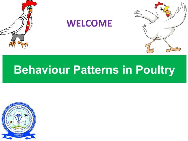 Behaviour Patterns in Poultry | PPT