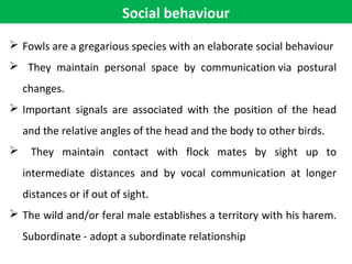 Behaviour Patterns in Poultry | PPT