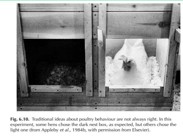 Behaviour Patterns in Poultry | PPT
