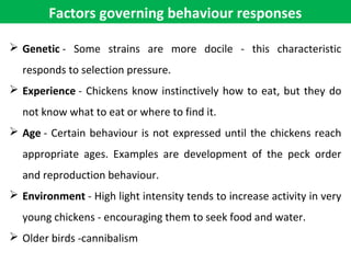 Behaviour Patterns in Poultry | PPT