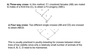 Poultry Breeds and Breeding (1).....pptx