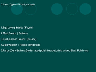 Poultry breeds fish breeds Allah Dad Khan | PPT