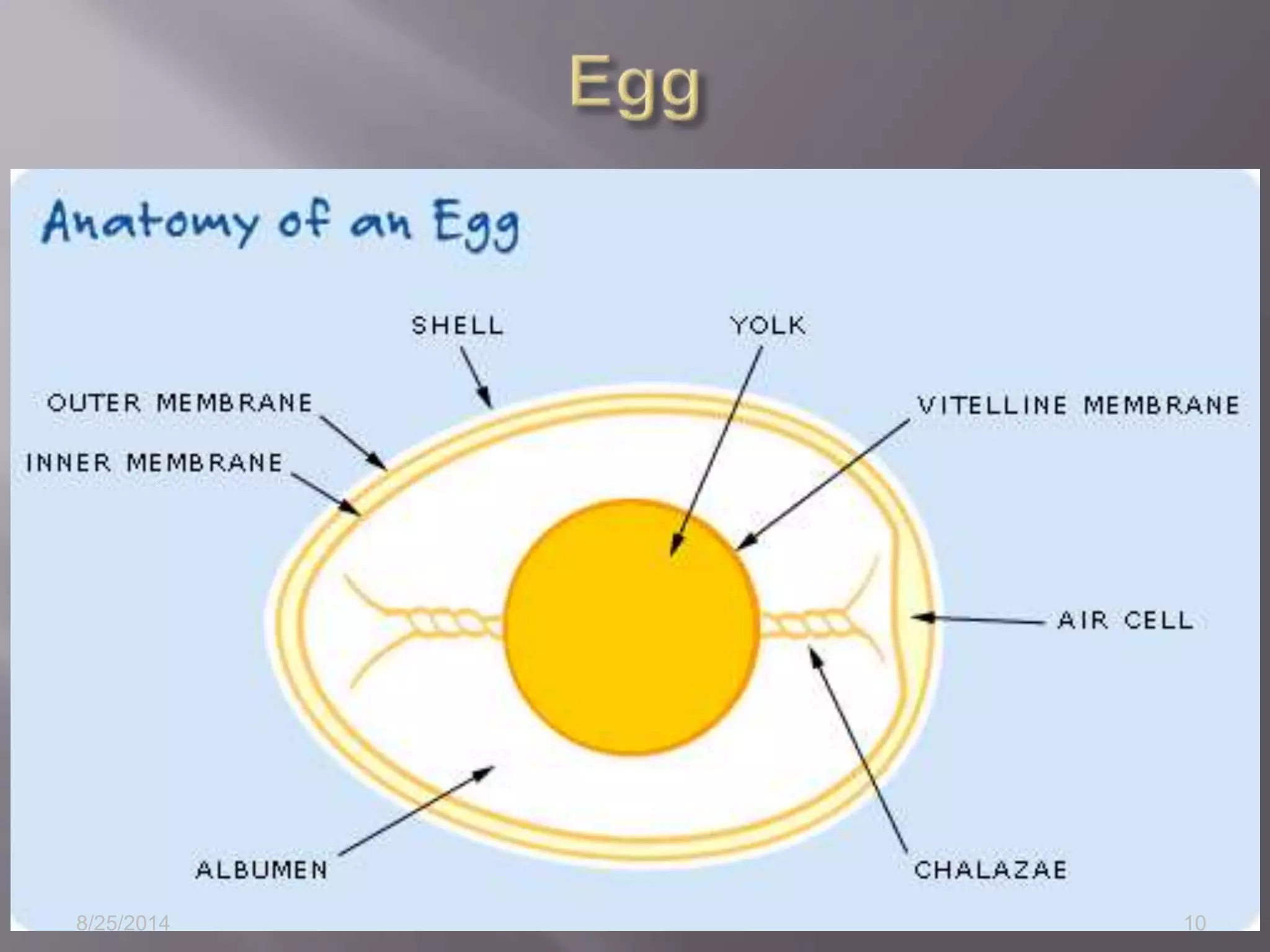 Poultry Breeds and Nutritional Value of Egg | PPSX