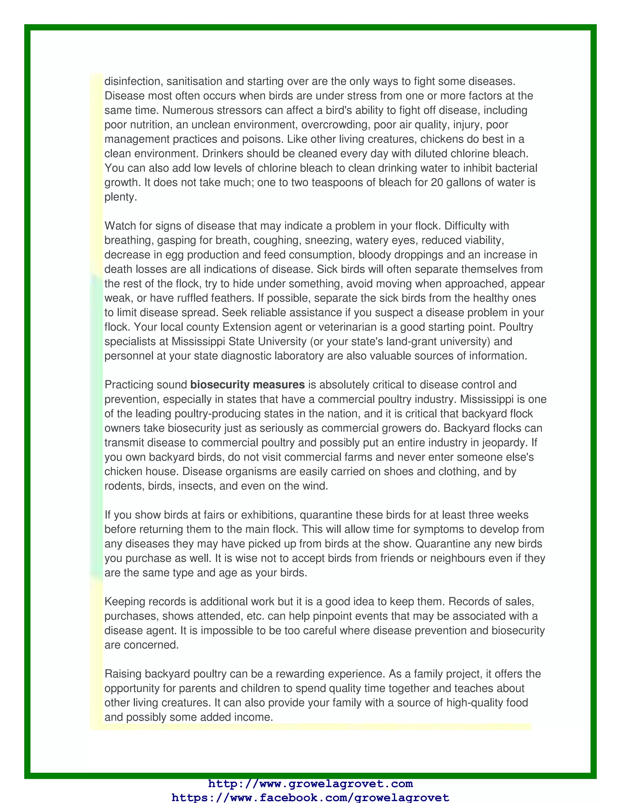 Poultry Business Guide | PDF