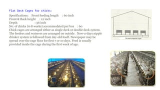 poultry housing and cage_management.pptx