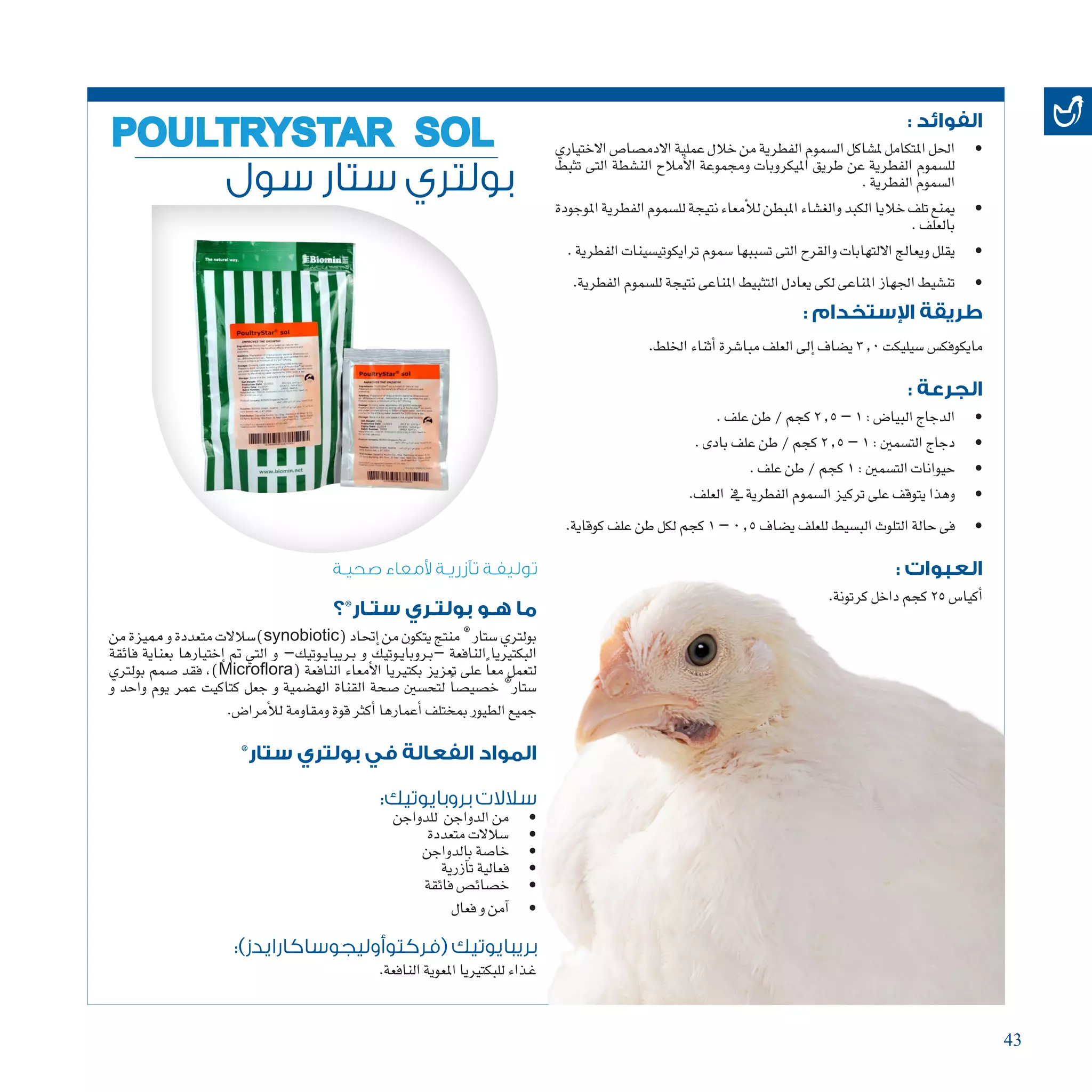 Dakahlia Poultry Brochure (updated) | PDF