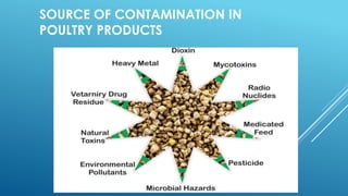 Chemical Contaminants of poultry products | PPTX