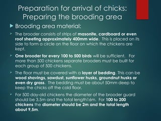 Poultry course presentation for producing layers and broilers | PPTX