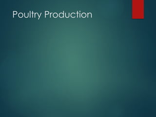 Poultry course presentation for producing layers and broilers | PPTX