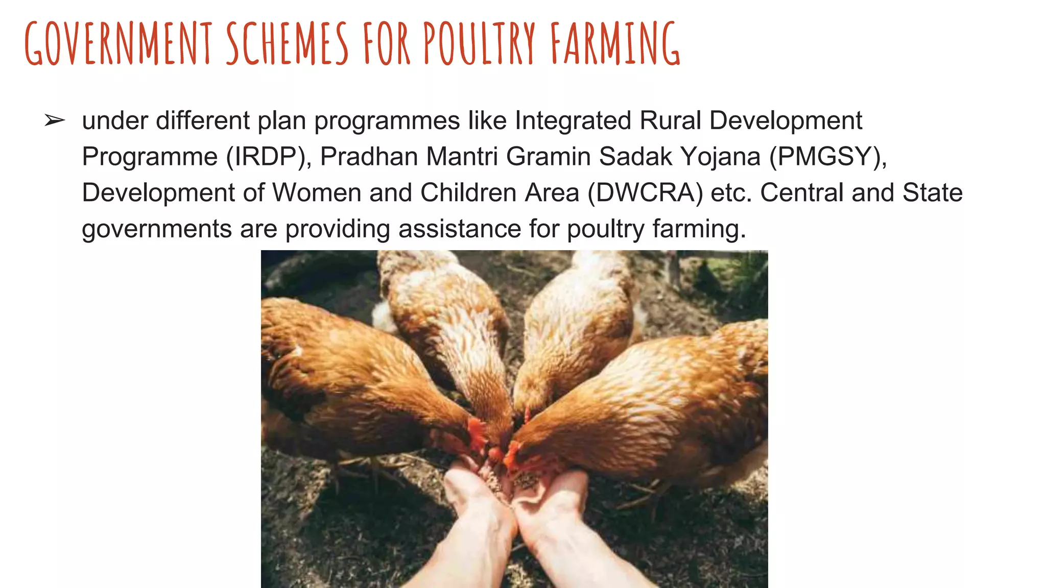 Poultry development programmes in india.pptx