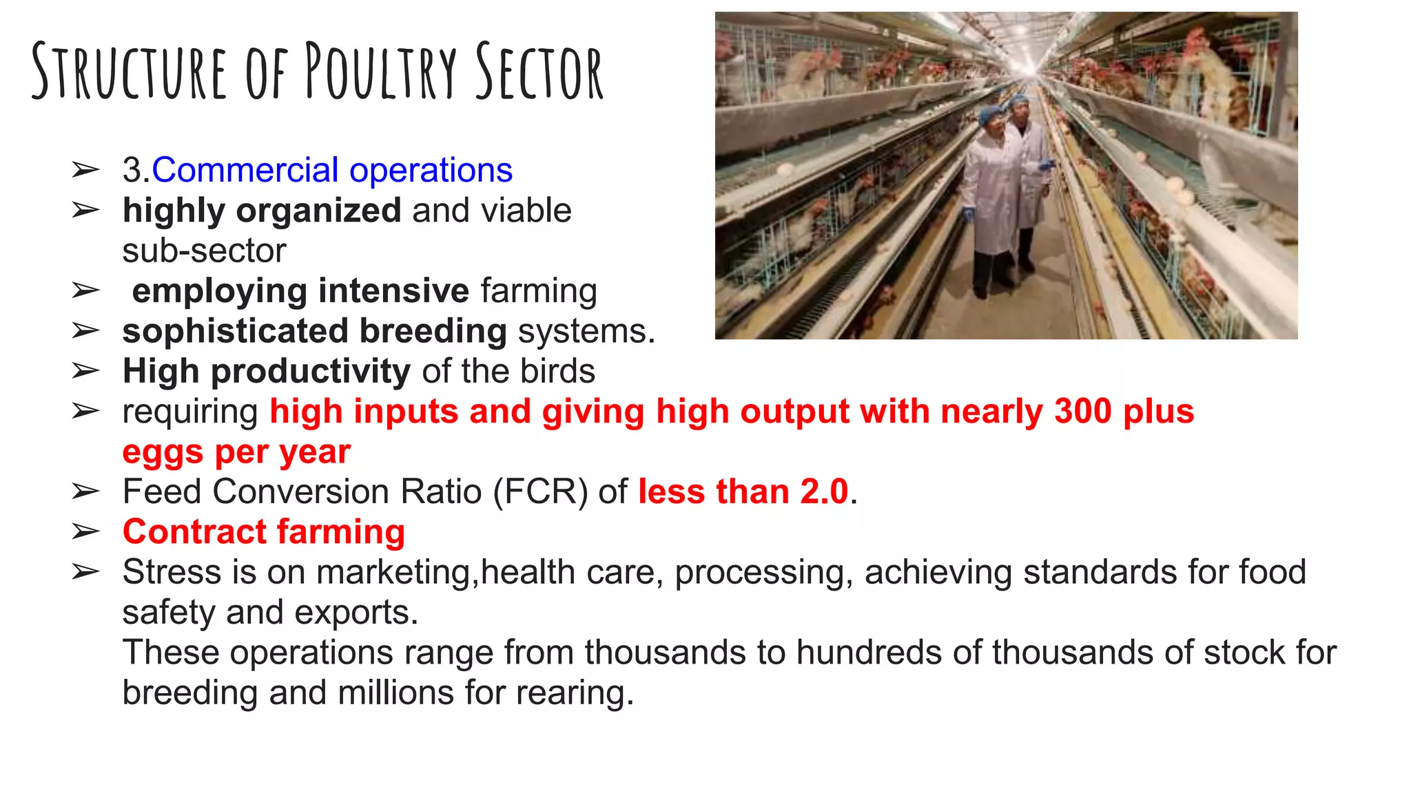 Poultry development programmes in india.pptx