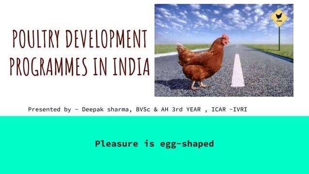 Poultry development programmes in india.pptx