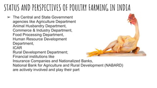 Poultry Development Programmes In India Pptx