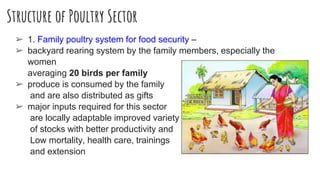 Poultry development programmes in india.pptx