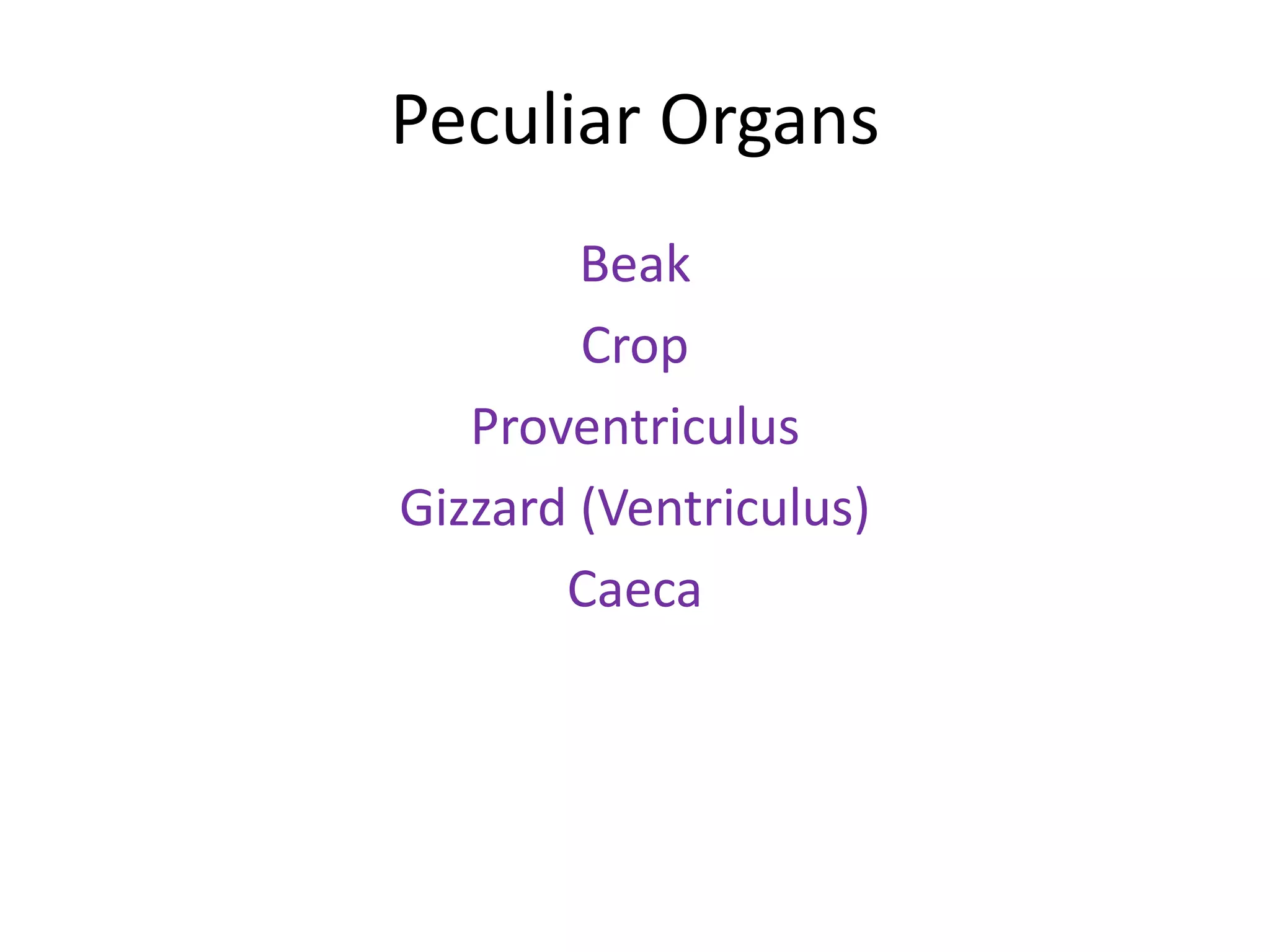 pOULTRY DIGESTION.pptx