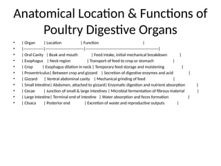 Poultry_Digestive_System_Extended and tabulated | PPTX