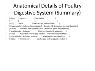 Poultry_Digestive_System_Extended and tabulated | PPTX