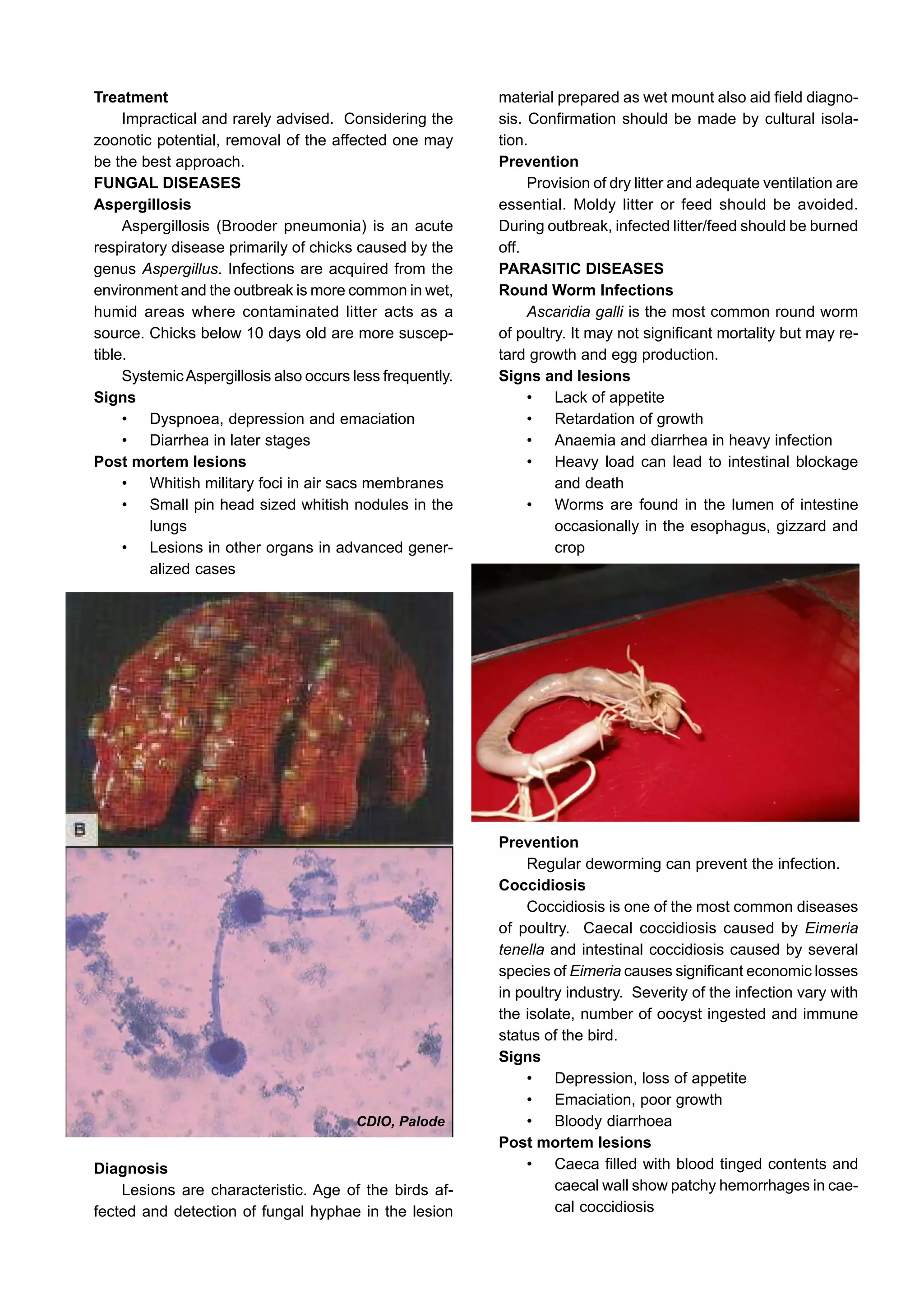 Poultry diseases | PDF