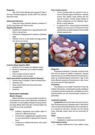 Poultry diseases | PDF