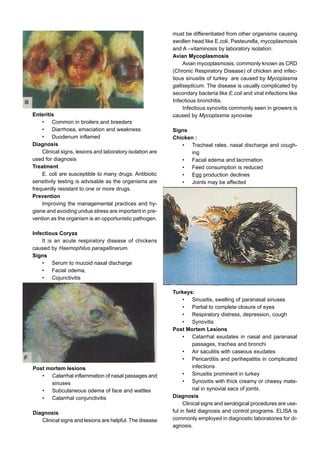 Poultry diseases | PDF