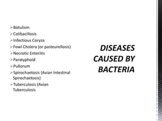 Poultry diseases | PPT