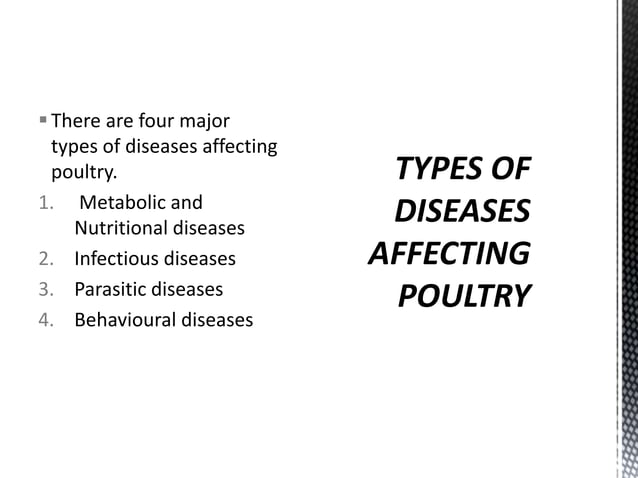 Poultry diseases | PPT