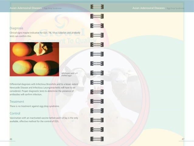 Poultry Diseases Cause, Diagnosis, Control & Treatment | PDF ...