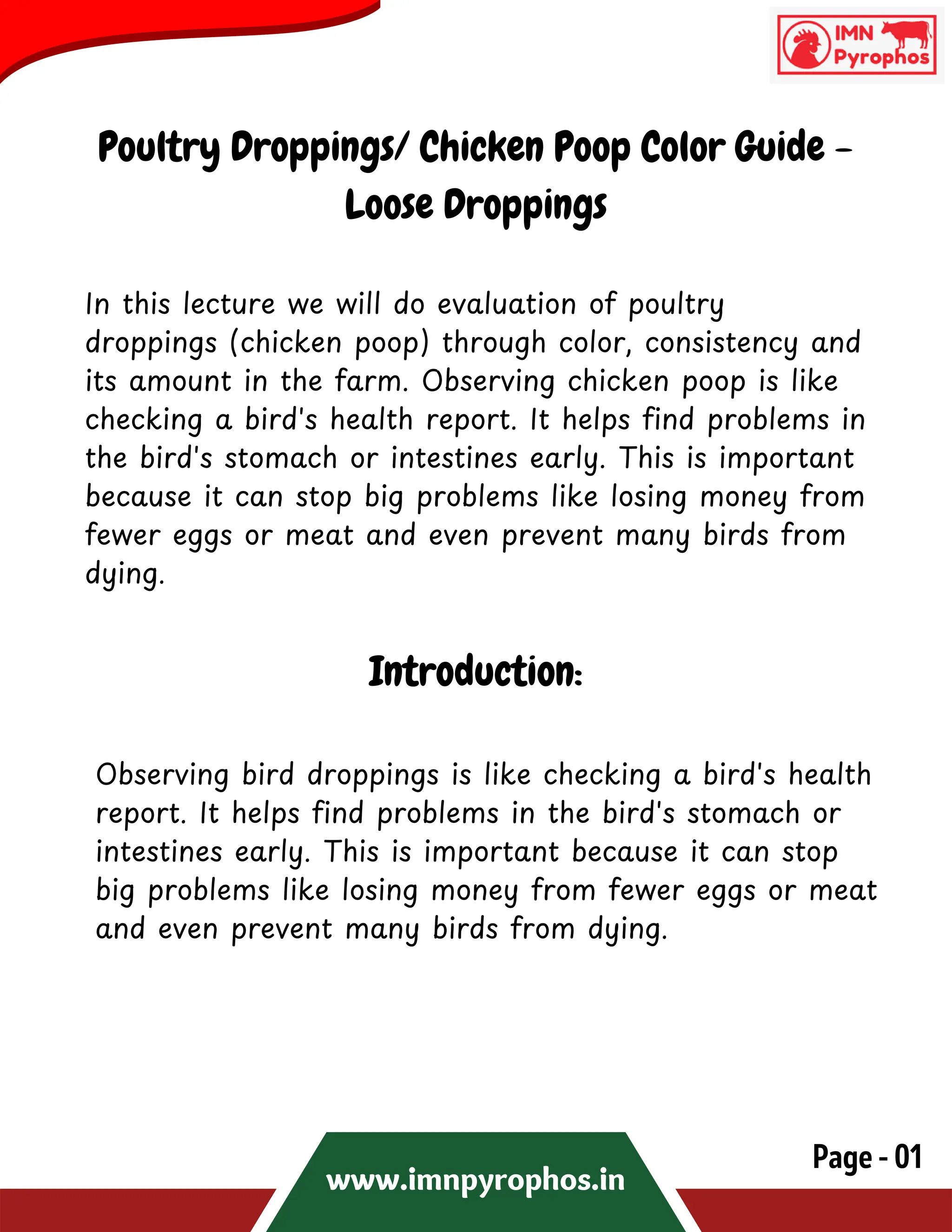 Poultry Droppings / Chicken Poop Color Guide | PDF | Digestive ...
