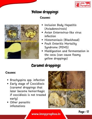 Poultry Droppings / Chicken Poop Color Guide | PDF