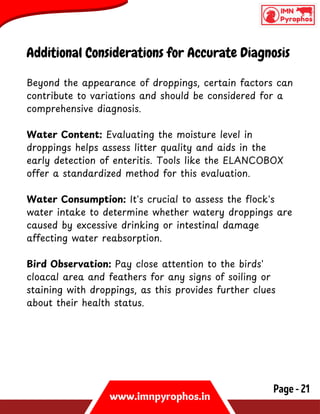 Poultry Droppings / Chicken Poop Color Guide | PDF