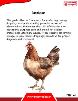 Poultry Droppings / Chicken Poop Color Guide | PDF