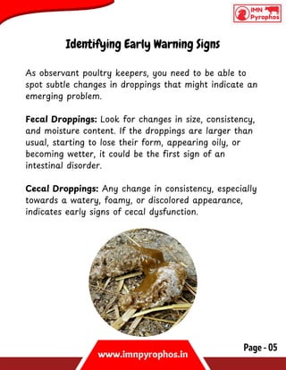 Poultry Droppings / Chicken Poop Color Guide | PDF