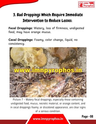 Poultry Droppings / Chicken Poop Color Guide | PDF