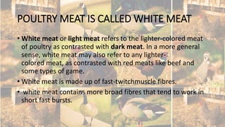 Poultry | PPTX