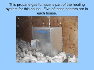 Poultry Equipment Used On Broiler Farms | PPT